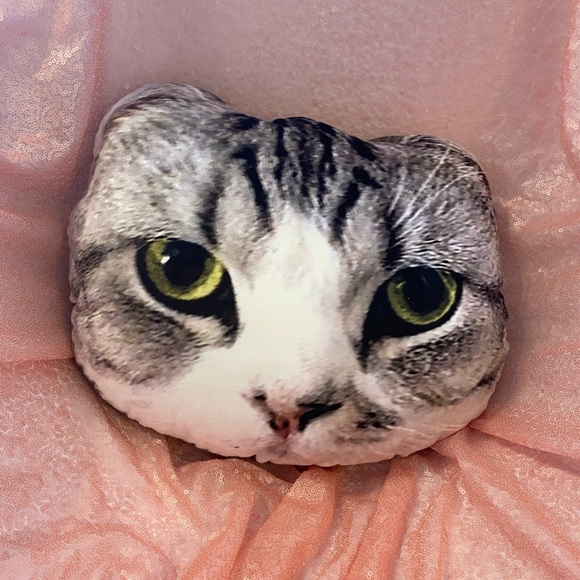 Taylor Swift Cat Meredith